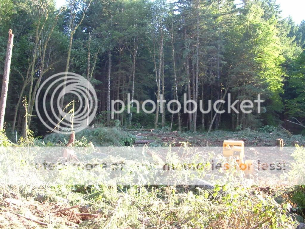 All your logging gear Pics. From Hoes, to Yarders, Trucks etc etc ...