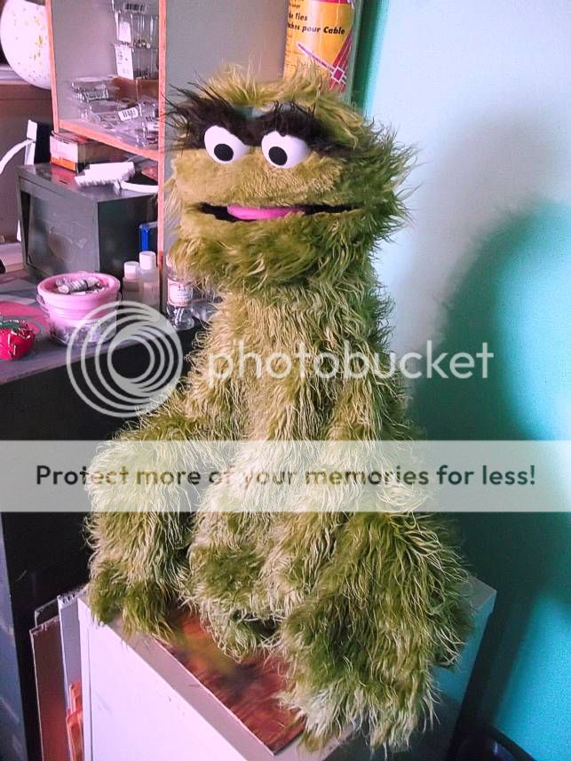 Genuine Professional Muppet Style Monster or Grouch Puppet by Terry ...